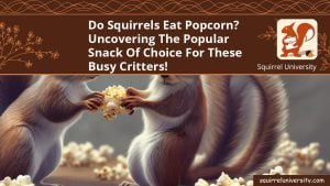 Do Squirrels Eat Popcorn? Uncovering the Popular Snack of Choice for ...