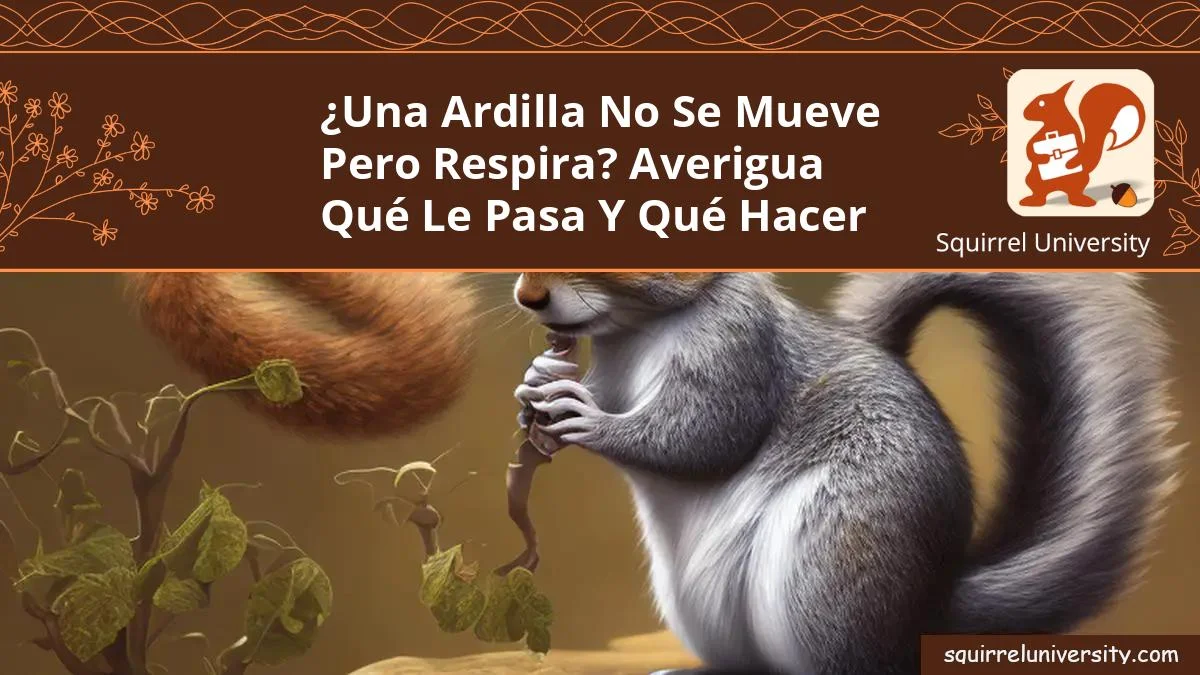 Datos Sobre La Ardilla - Universidad de la Ardilla