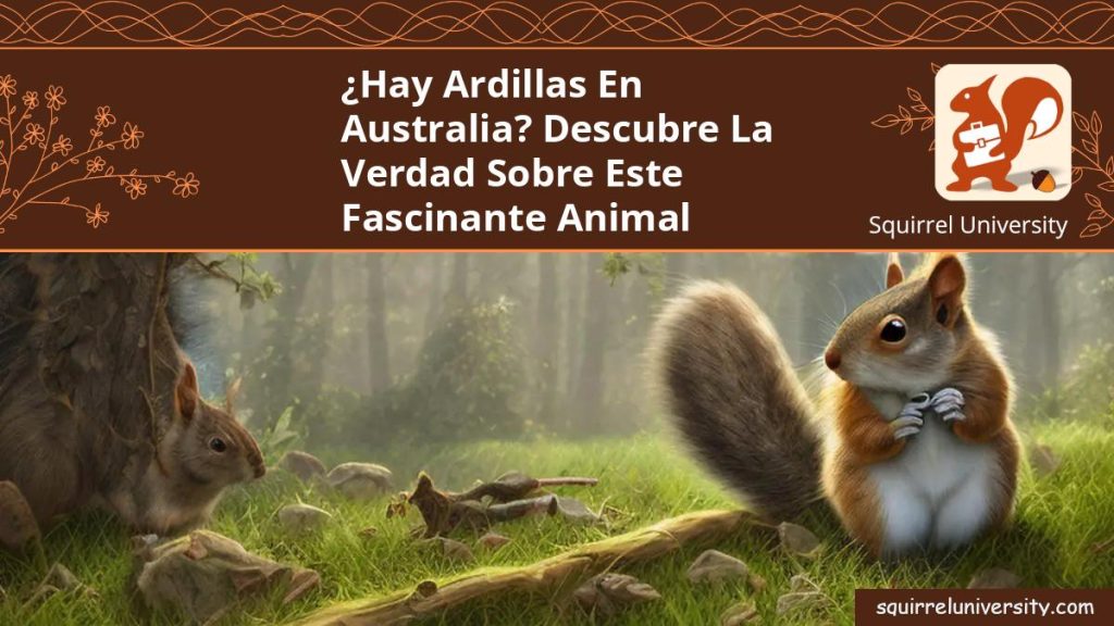 ¿Hay ardillas en Australia? Descubre la verdad sobre este fascinante ...