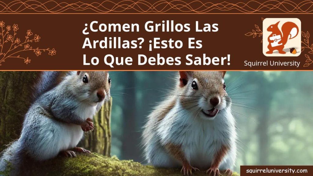 ¿Comen grillos las ardillas? ¡Esto es lo que debes saber! - Universidad ...