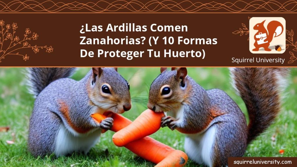 ¿Las ardillas comen zanahorias? (y 10 formas de PROTEGER tu huerto ...