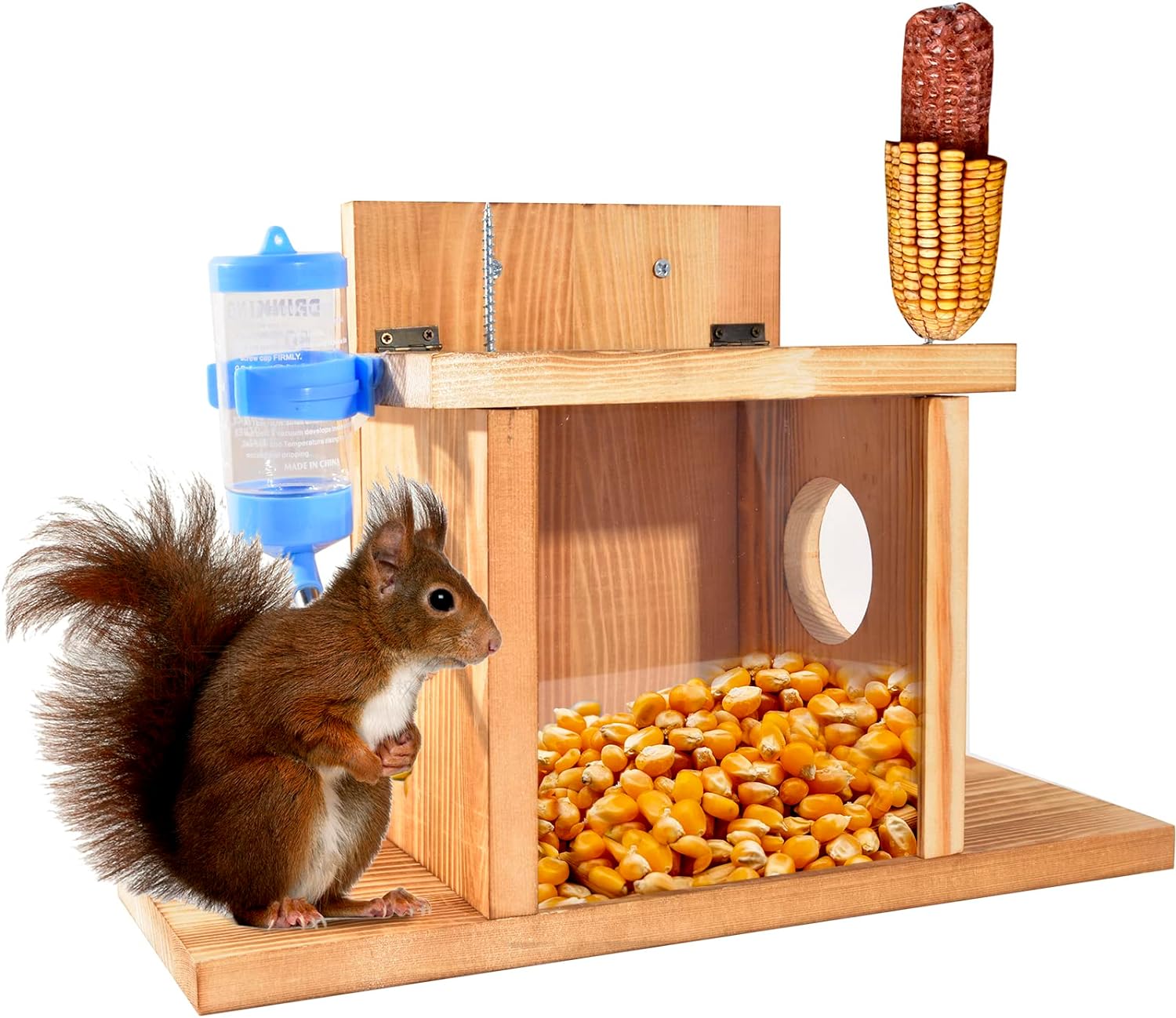 9 Best Squirrel Feeders (CUTE & Ready To Buy) - Squirrel University