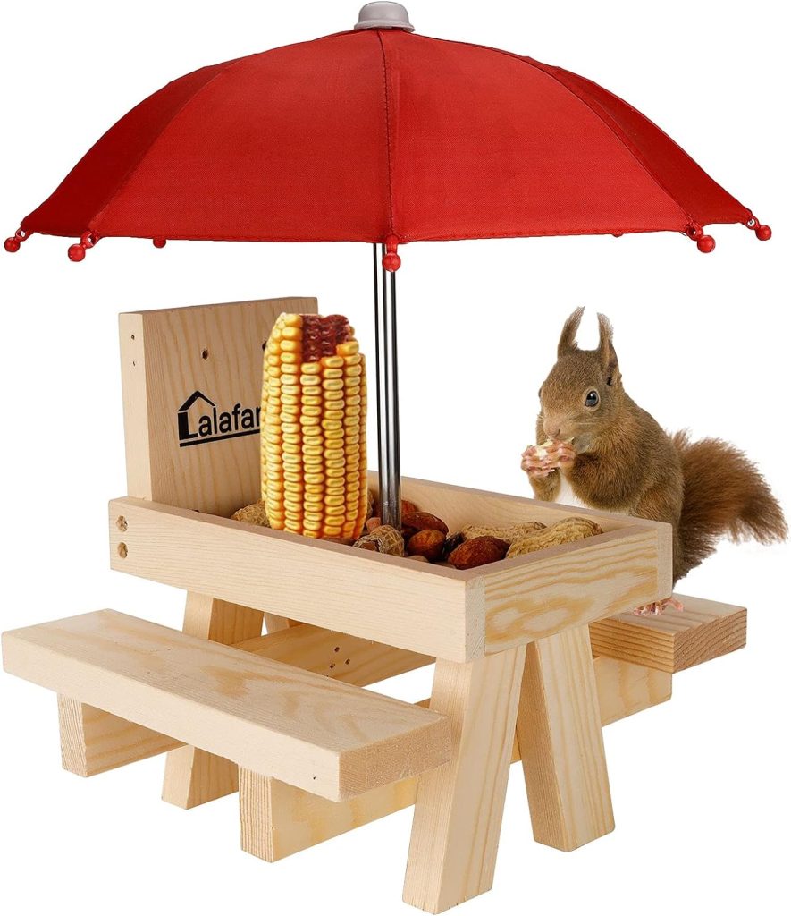 9 Best Squirrel Feeders (CUTE & Ready To Buy) - Squirrel University